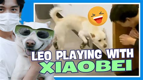 Leo Wu 吴磊 Getting Playful With Xiaobei Youtube