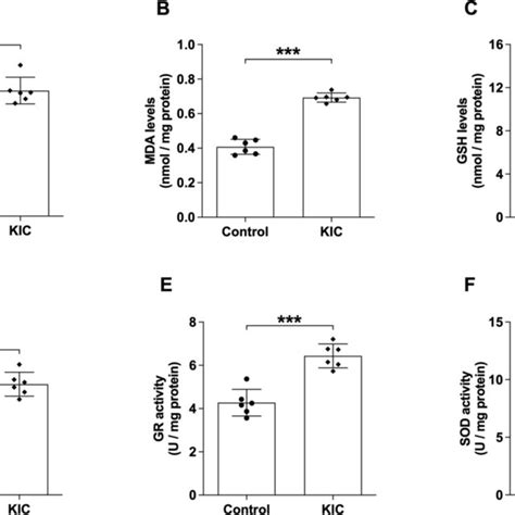 Effects Of An Intracerebroventricular Icv Administration Of Kic 1 Download Scientific