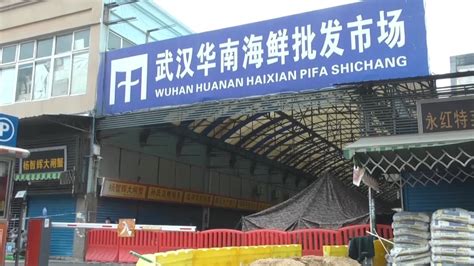 世衛專家赴武漢查病毒起源無結論 中國反批美國醫院為病毒起源 公視新聞網 PNN