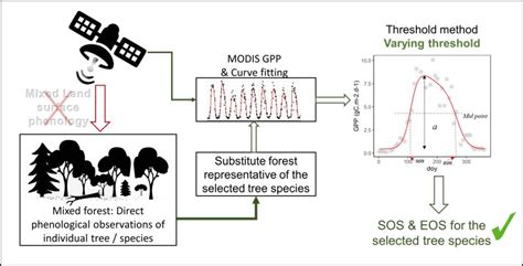 Remote Sensing Mdpi On Linkedin Notablepaper Treephenology