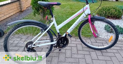 Naudotas 24 Coliu Dvi Skelbiu Lt