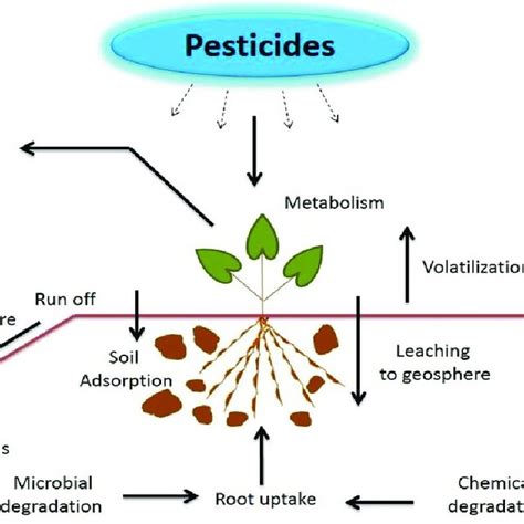 Environmental Fate Of Pesticides Post Application Ahemad And Khan 2013
