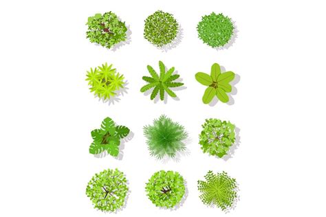 Top View Tree Landscape Plan Trees With Leaves And Bushes