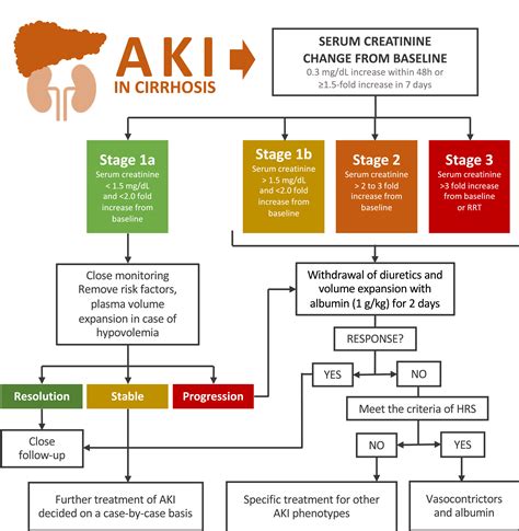 Albumin Administration In Internal Medicine A Journey Between