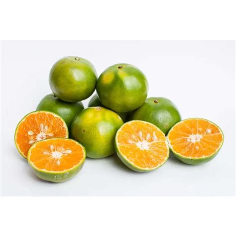 Biji Benih Buah Jeruk Manis 10 Biji Lazada Indonesia