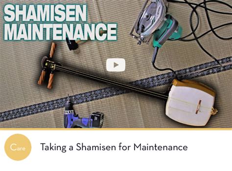 String Types — Learn Shamisen