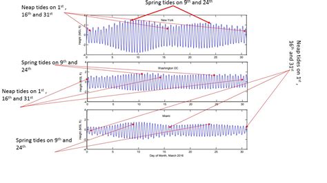 Solved Use Figure 1 To Analyze The Tidal Patterns For March 2016 At