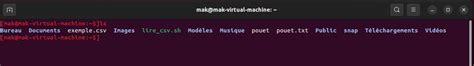 Personnaliser Son Terminal Linux Malekal