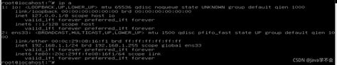 Debian10搭建bind9主服务器搭建在虚拟机debian下安装bind服务 Csdn博客