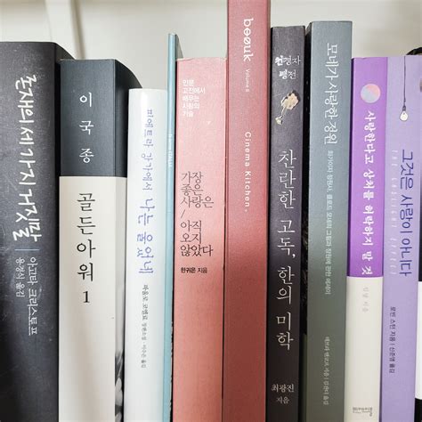 현명한 부모는 적당한 거리를 둔다 김민지 저자 하워드 가드너 교수 추천 도서