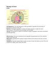 Biology Revision Docx Biology Revision Cells Cell Membrane The Cell Membrane Is Semi