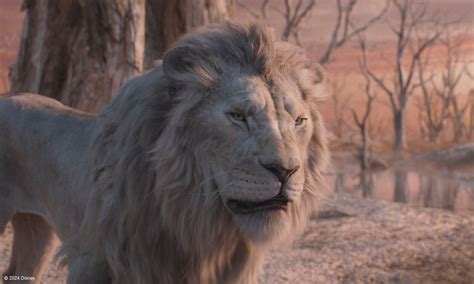 Disney Dévoile La Séquence Intégrale De Bye Bye Dans Mufasa Le