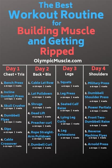 Gym Motivation On Twitter In 2022 Best Workout Routine Total Body