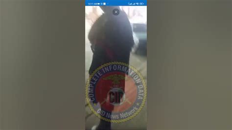 جسم فروشی کا دھندہ عروج کھلے عام قانون کی دھجیاں بکھیری جارہی ہے Youtube