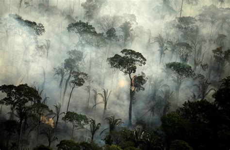 Focos de queimadas na Amazônia em junho foram os maiores para o mês nos