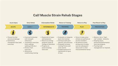Calf Strain Rehab Recovery Techniques And Exercises