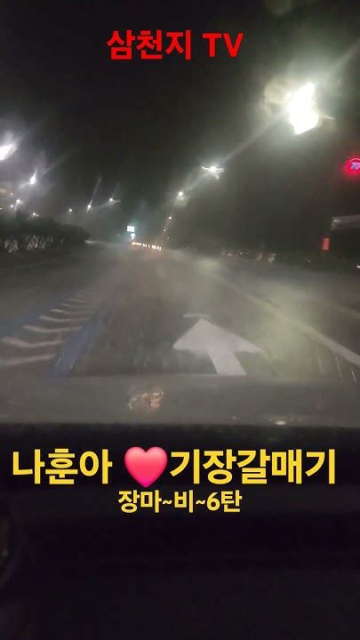 Shouth Korea 나훈아 기장갈매기 장마 비 침엽수나무 나무심는남자 블루애로우 핑크오데마리 블루엔젤 골드스마라그 은청
