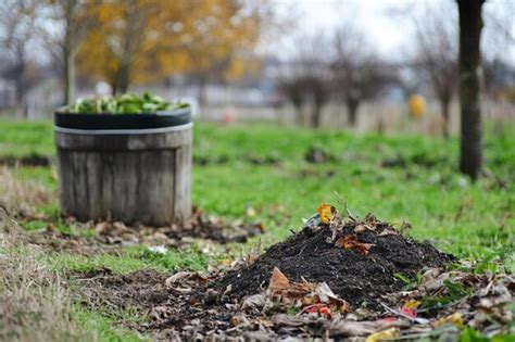 evaluating the economic feasibility of composting generative ai