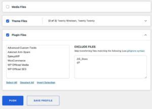 WP Migrate DB Pro Review PROS CONS 2023 Is It Worth It