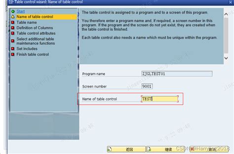 如何使用sap中的table Control 控件sap Table Control Csdn博客
