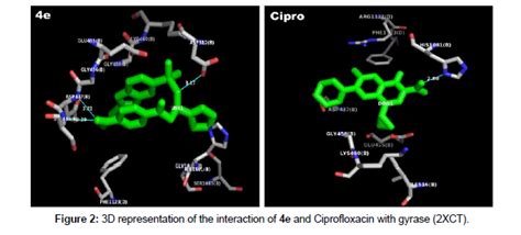 One Pot Synthesis Antimicrobial And In Silico Molecular Docking