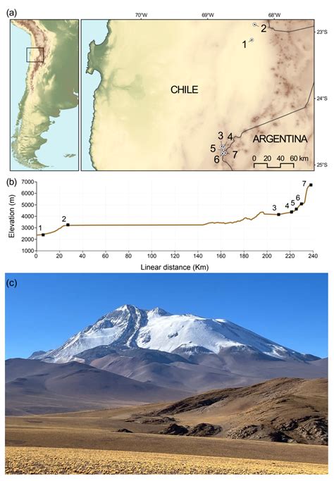 Diet Of Andean Leaf Eared Mice Phyllotis Living At Extreme Elevations