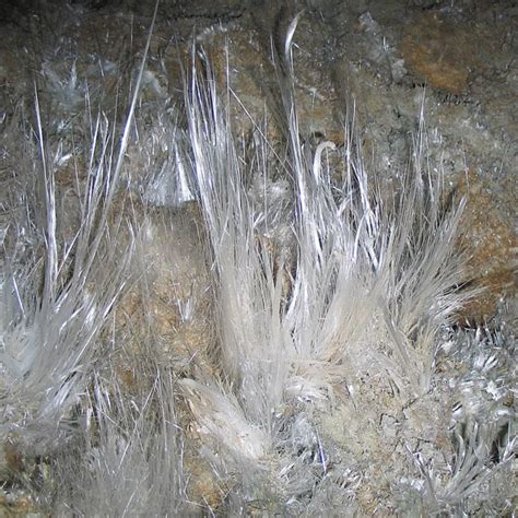 Epsomite Encyclopedia