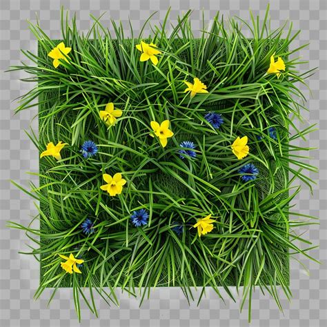 Premium Psd A Square Of Grass With A Square Of Blue Flowers In The Middle