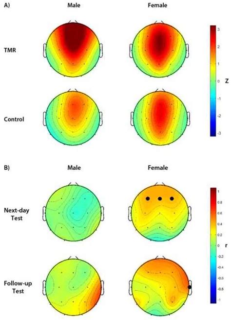 Classical Music Educational Learning And Slow Wave Sleep A Targeted Memory Reactivation
