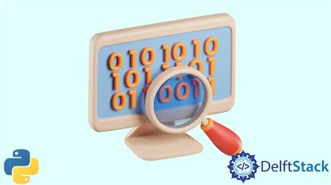 Python 中的二进制数表示 D栈 Delft Stack