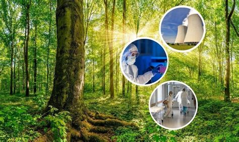 Environmental Impact Assessment In Pune Id 2853029883530