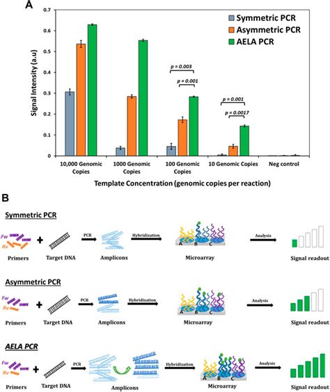 Frontiers | An advanced and efficient asymmetric PCR method for microarray applications