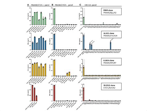 Recognition Patterns Of The Selected T Cell Clones Recognizing Prame Or Download Scientific