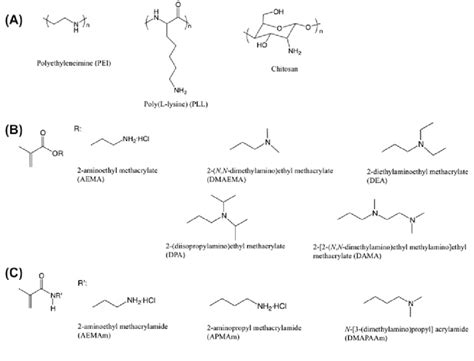 Chemical Structures Of Syntheticnatural Cationic Polymers A Download Scientific Diagram