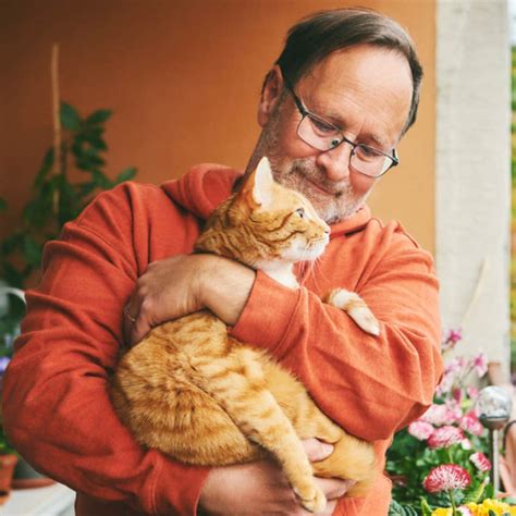 Worker Gets Reprimanded For Being Late Because His Cat Died Yourtango