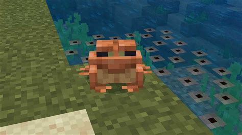 Can Frogs Drown In Minecraft Vital Frog