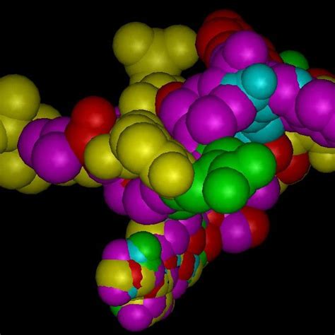Superposed Structures Of The Inhibitors Of Trypsin A All The