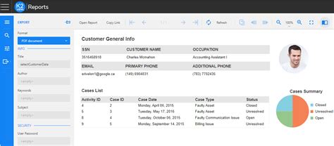Report Viewer K2view Support