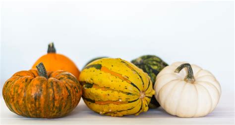 10 Squash Varieties You Need To Try Ironmag Labs Bodybuilding Supplements