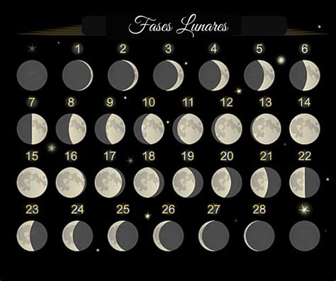 Exercícios Sobre As Fases Da Lua 8 Ano Gabarito