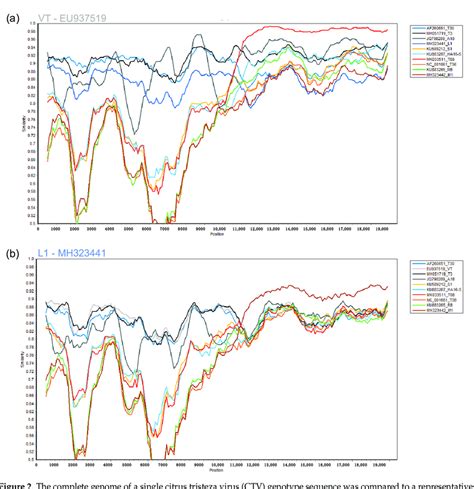 The Complete Genome Of A Single Citrus Tristeza Virus Ctv Genotype Download Scientific