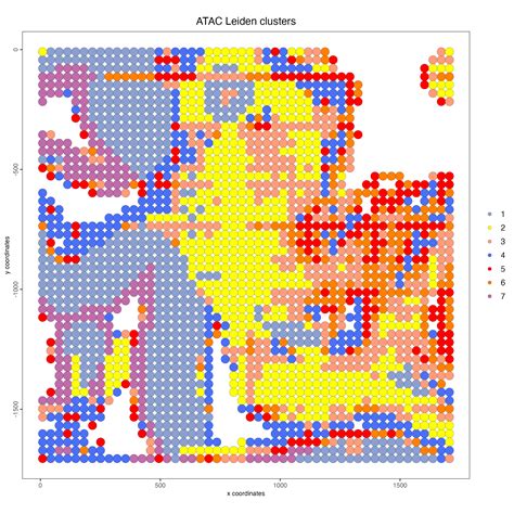 Multi Omics Spatial Rna Atac Seq Mouse Embryo • Giotto
