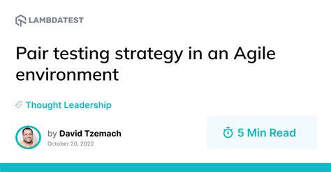 Pair Testing Strategy In An Agile Environment LambdaTest
