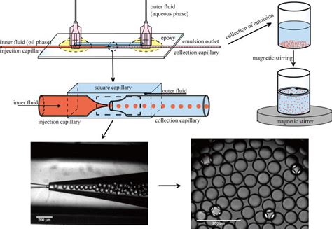 Droplet Based Microfluidic Fabrication Of Designer Microparticles For