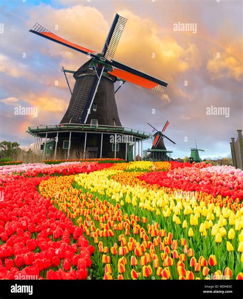 List 100 Pictures Pictures Of Windmills In Holland Excellent