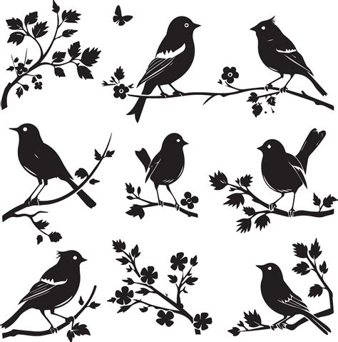 Set Of Bird On A Tree Branch Black Silhouette Vector Art At Vecteezy