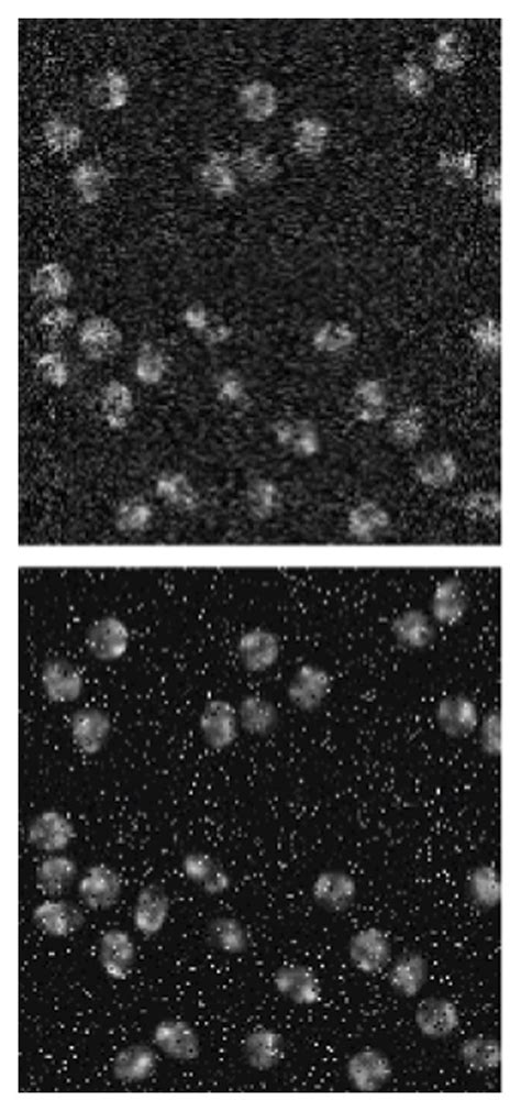 segmentation results on image “cell” corrupted by gaussian and salt