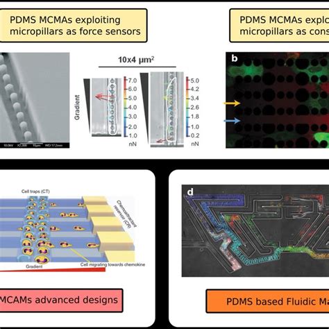 Advanced Configurations Of Pdms Microfluidic Assays A Pdms Pillar