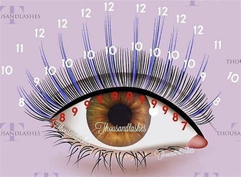 Whispy Look Perfect Eyelashes Eyelash Extentions Eyelash Extensions
