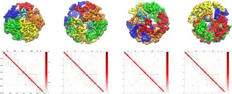 The Temporal Evolution Of The Wt Chromatin Configurations Top Row Download Scientific
